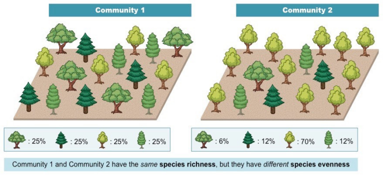 NGS QIIME2 : 分析與繪製組內物種多樣性 (Alpha diversity) (上) -16 – PetSci Blog
