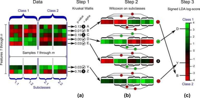 NGS QIIME2 : 尋找生物標記(Biomarker) LEfSe + dokdo 套件 (上-原理與安裝) -22 – PetSci Blog